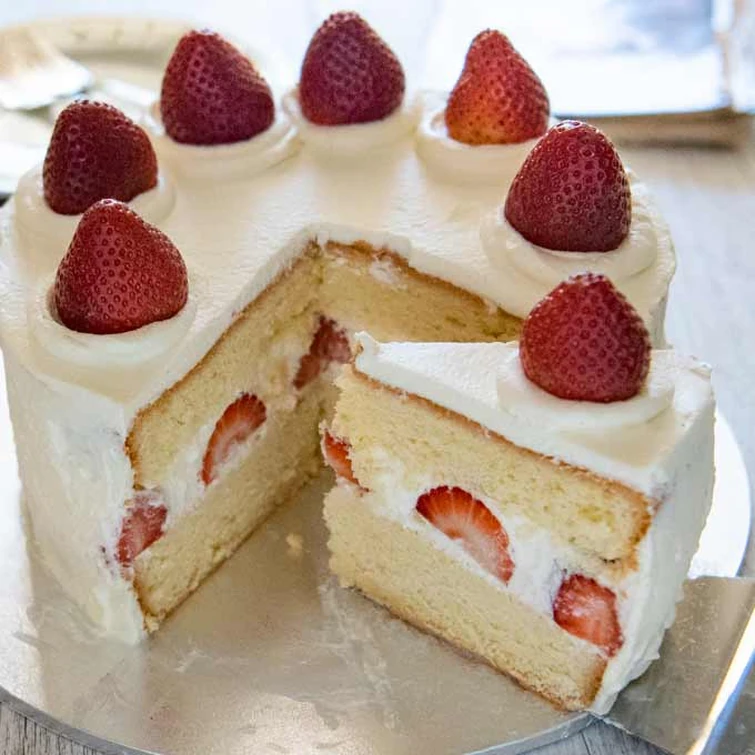 Who wants some cake? | Fandom