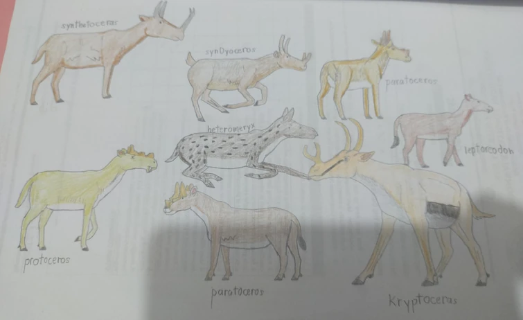 Discuss Everything About Dinopedia | Fandom