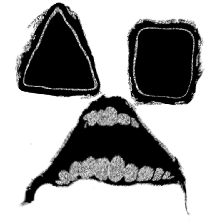 good god theres so much incorrect information | Fandom