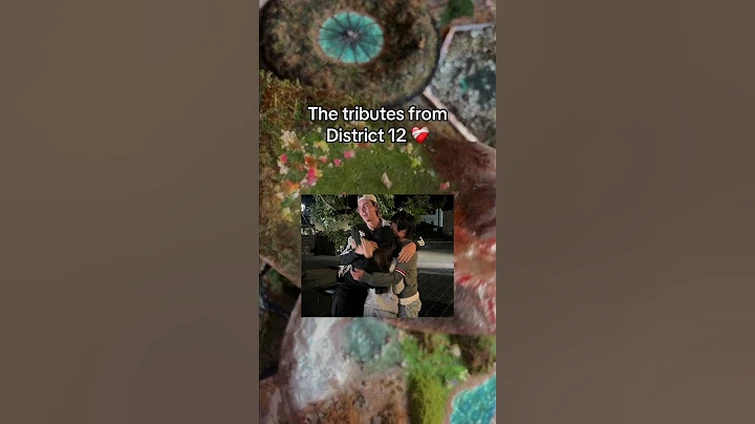 New set images! The Hunger Games Sunrise on the Reaping is officially ...