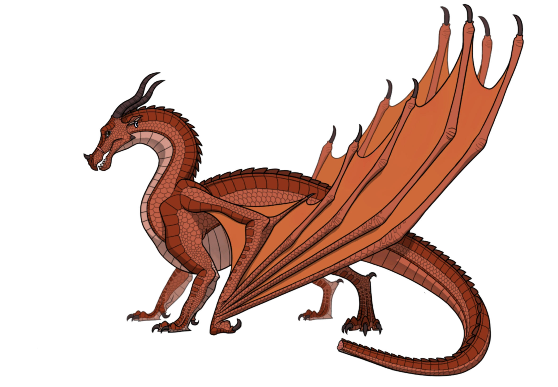 Another ref. This time a SkyWing. | Fandom