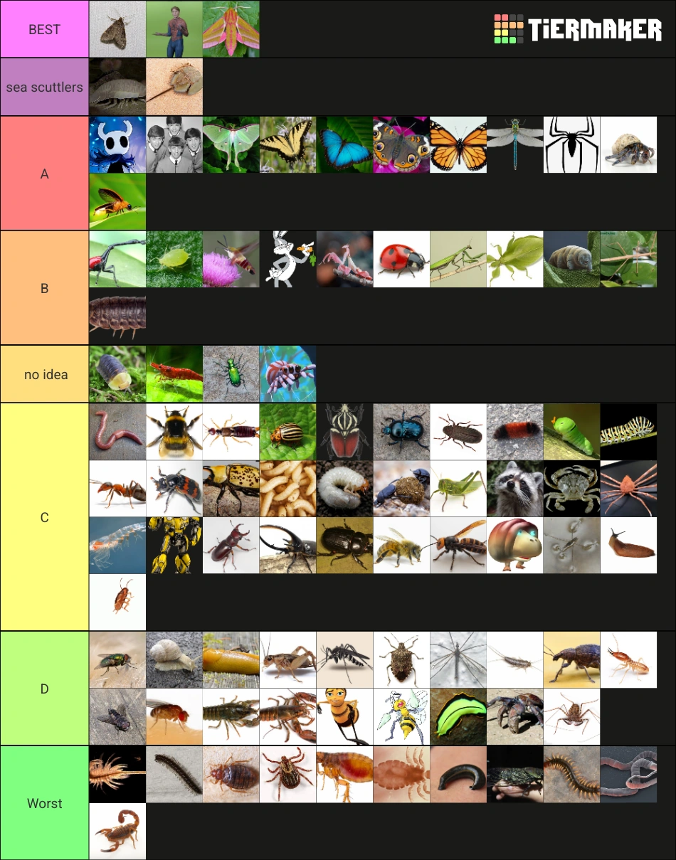 Bug tier list | Fandom
