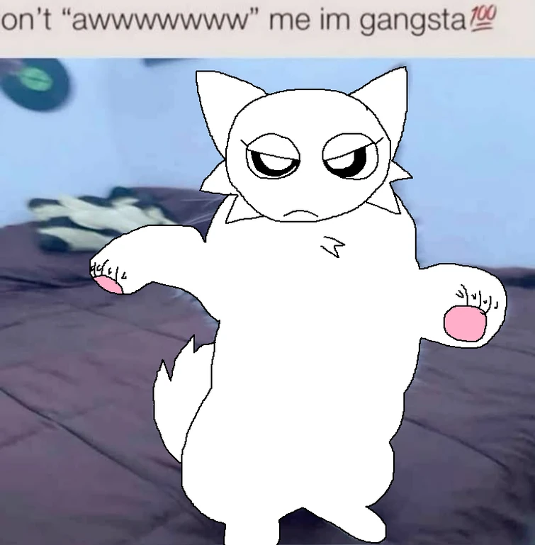 give me your cat memes and ill draw them as wenda or gray | Fandom