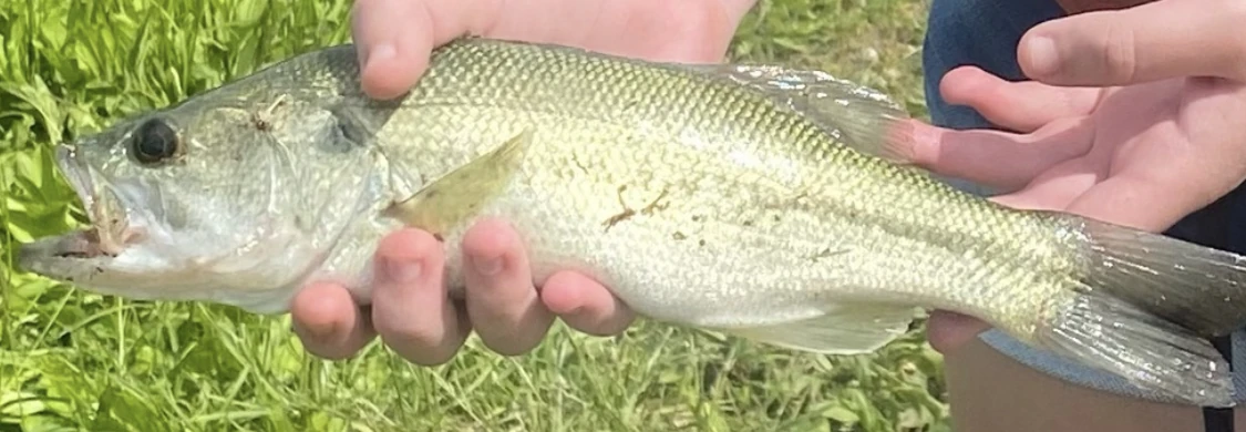 I went fishing | Fandom