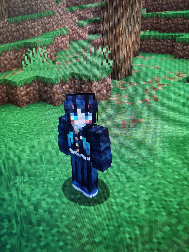 Minecraft skin | Fandom