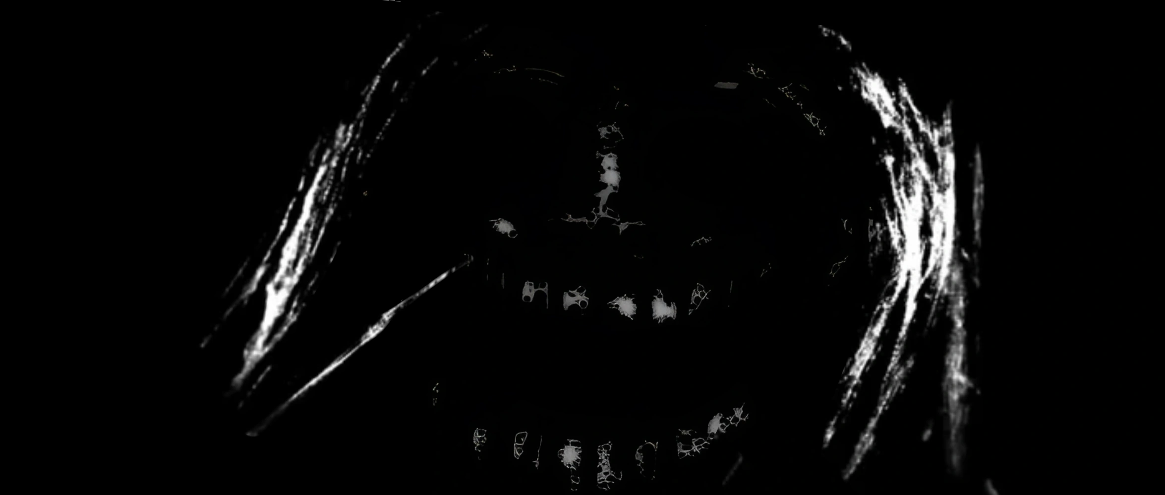 Phase 54 + 25 | Fandom