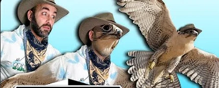 New discovery changes everything in bird evolution | Fandom