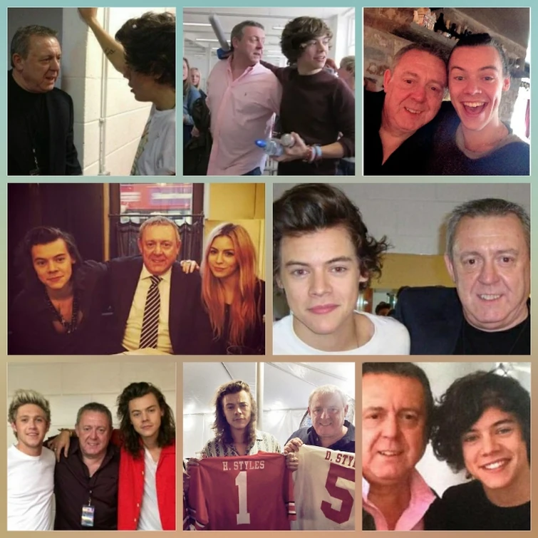 Harry Styles Des Styles