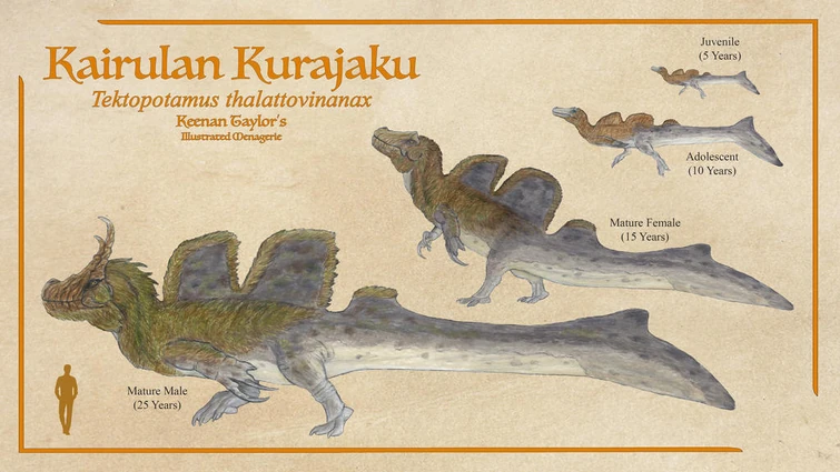 Animals I think that should get more creatures often: | Fandom