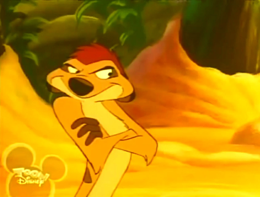 Timon Berkowitz Meerkat | A50 Wiki | Fandom