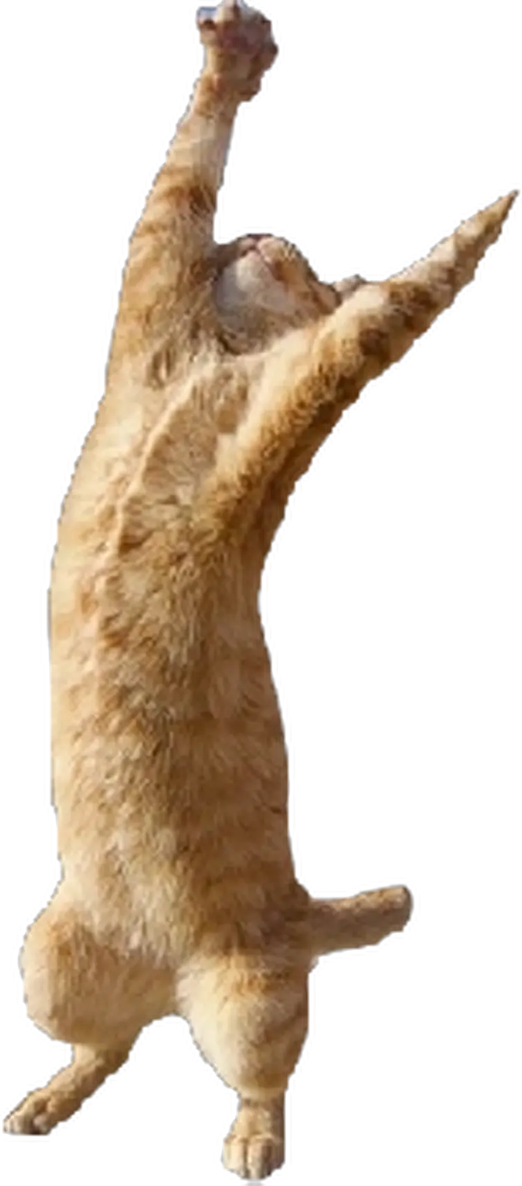 All posts by Number1GrimFoxyFan | Fandom