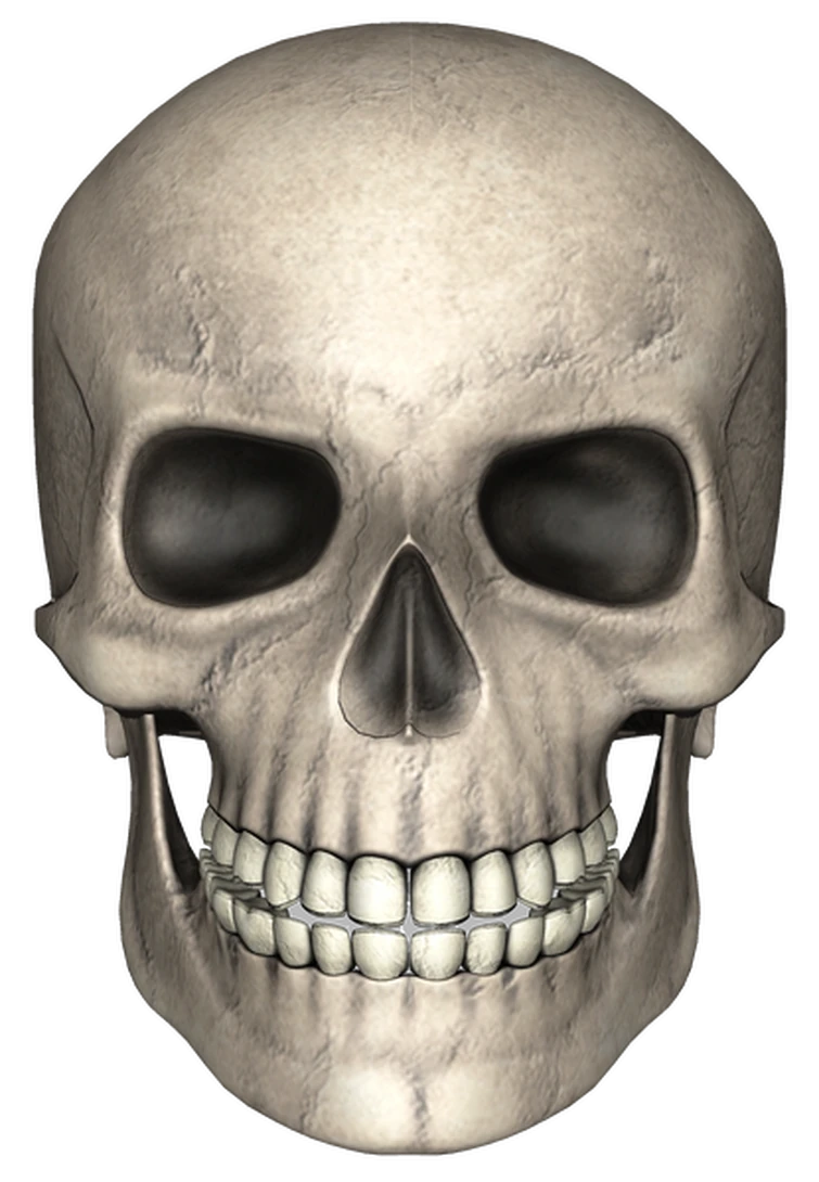 CJ Planets's Phase 41 Skull True Origin | Fandom