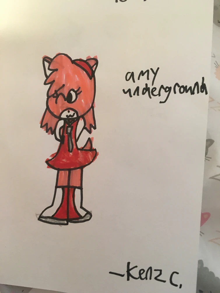 Amy rose underground | Fandom