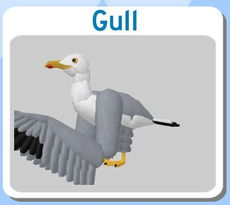 Discuss Everything About Feather Family Wiki | Fandom