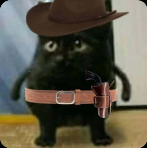 cool cat 👍 | Fandom