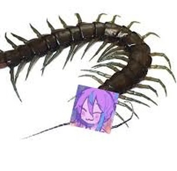 Okau sleepy time | Fandom