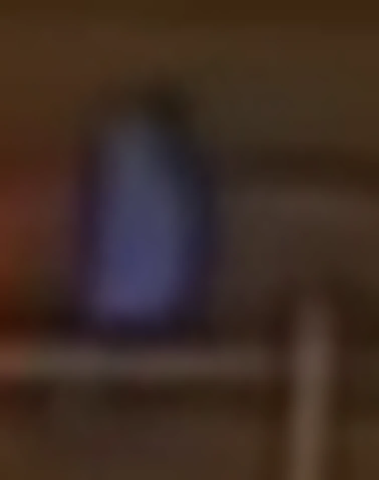 Discuss Everything About NatureRules1 Wiki | Fandom