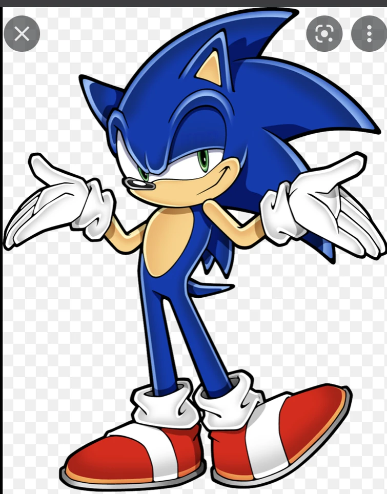 Why is Sonic Shrugging his shoulders? | Fandom