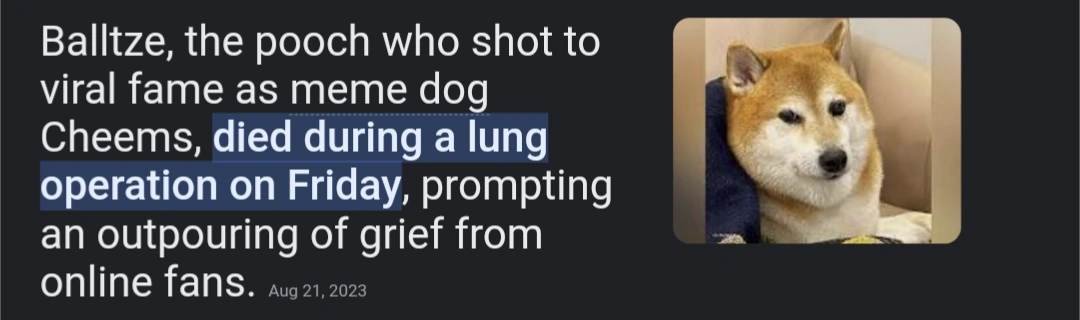 RIP CHEEMS... | Fandom