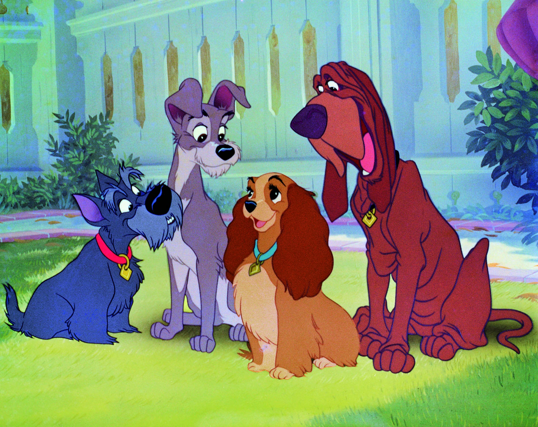 How much do you know about "Lady and the Tramp"? | Fandom
