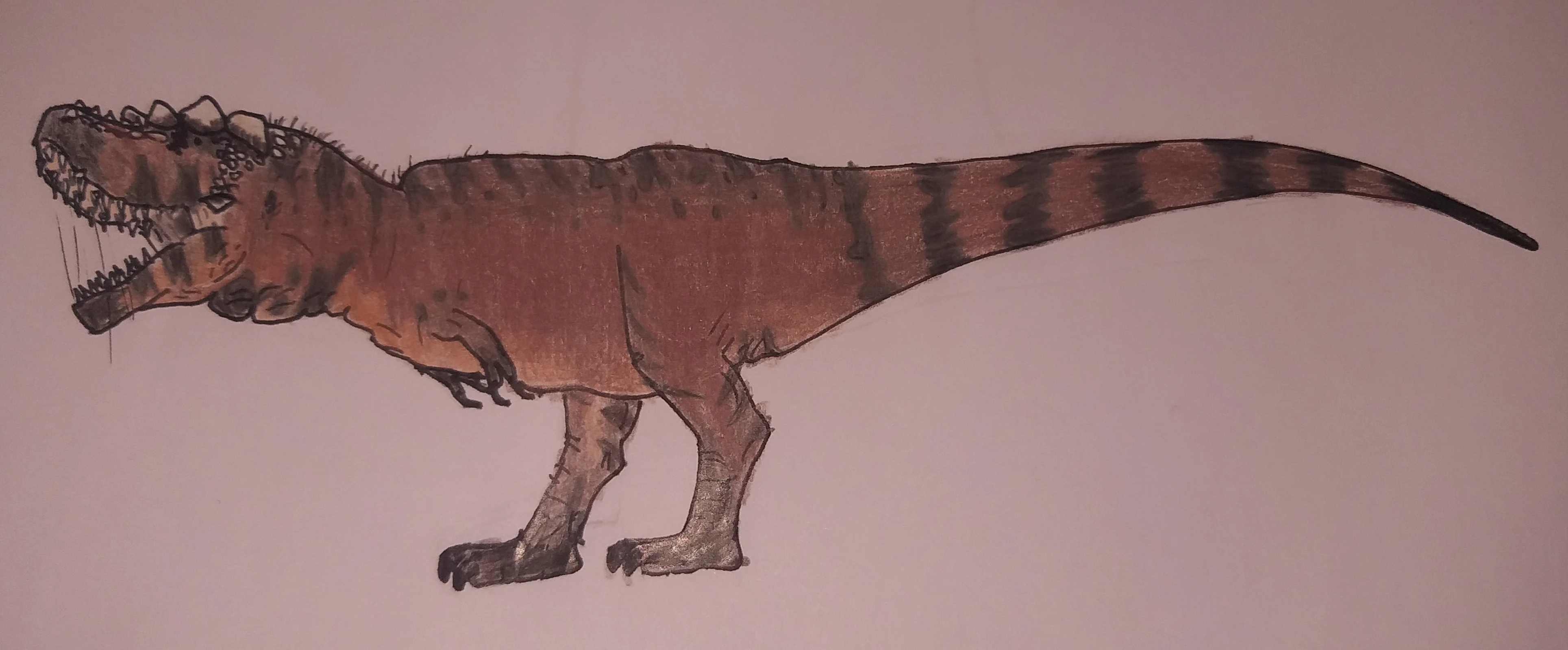 Rex draw | Fandom