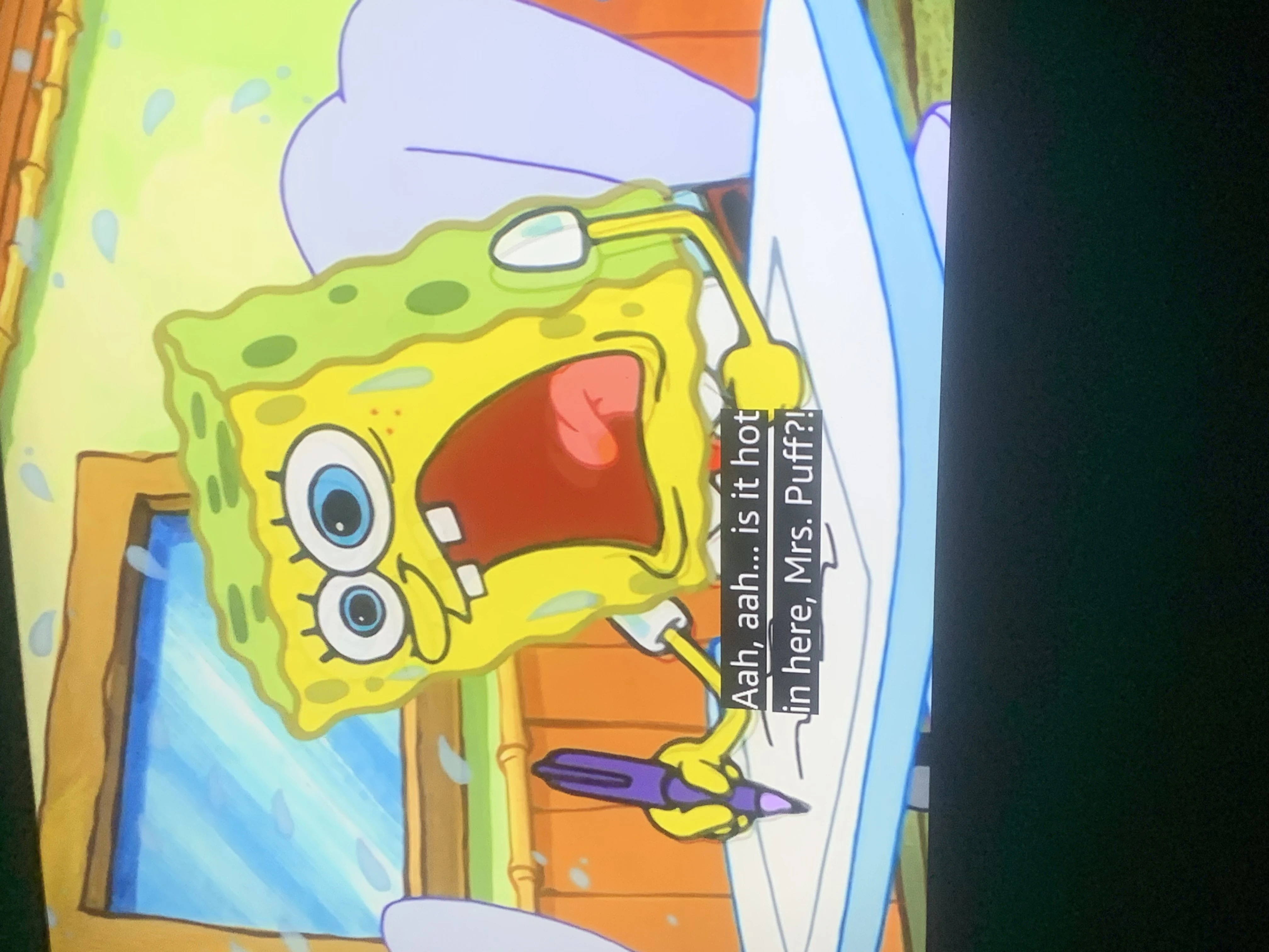 I have a newfound interest in SpongeBob | Fandom