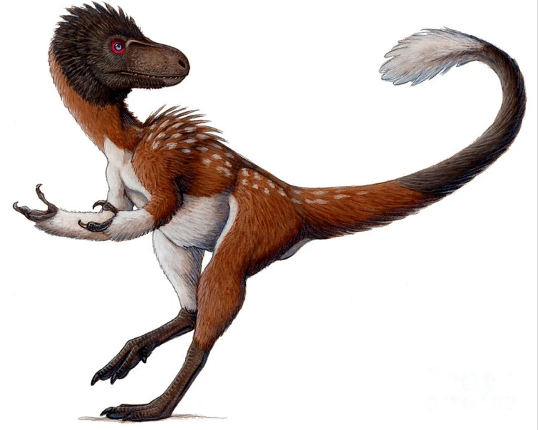 Discuss Everything About Dinopedia | Fandom