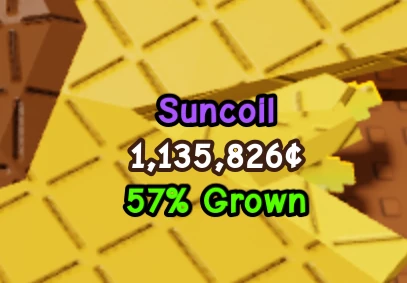 op suncoil | Fandom