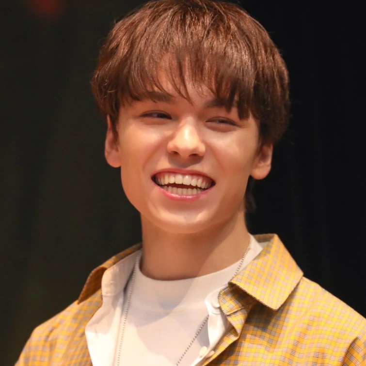 Discuss Everything About Seventeen Wiki | Fandom