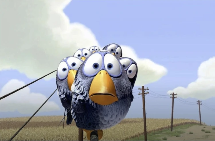 The birds | Fandom