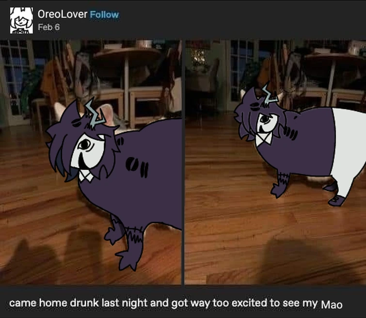 She got funny | Fandom