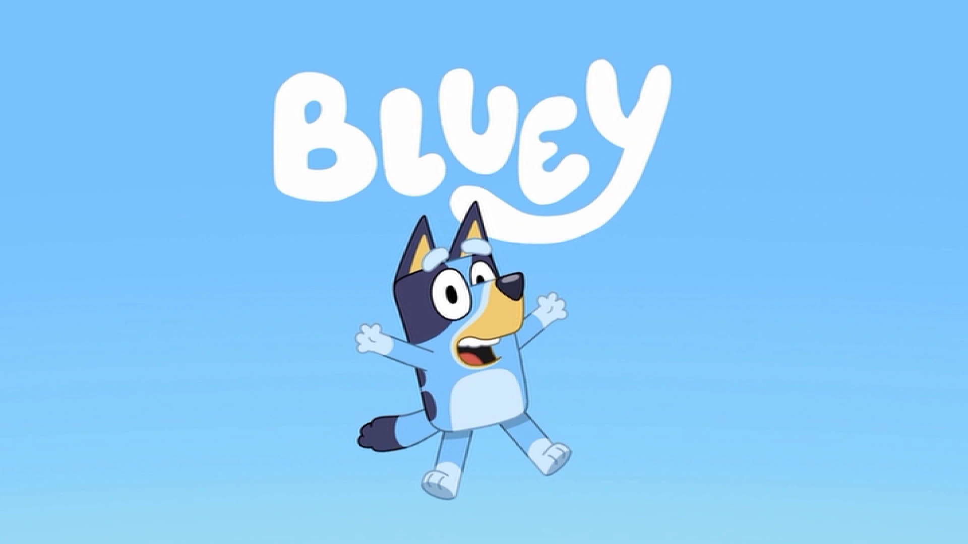 Bluey First DVD 2018 on ABC Kids | Fandom