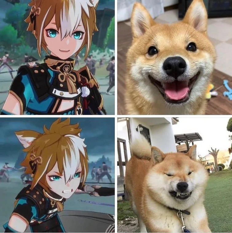 Random Genshin memes (feel free to put some if you want to :> ) | Fandom