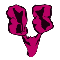 Making your entities into x variants. | Fandom