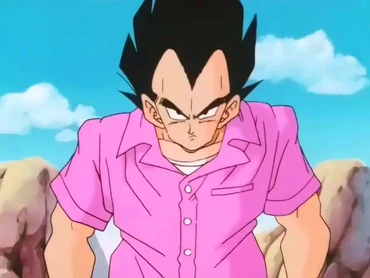 Which Vegeta Outfit is the Best | Fandom