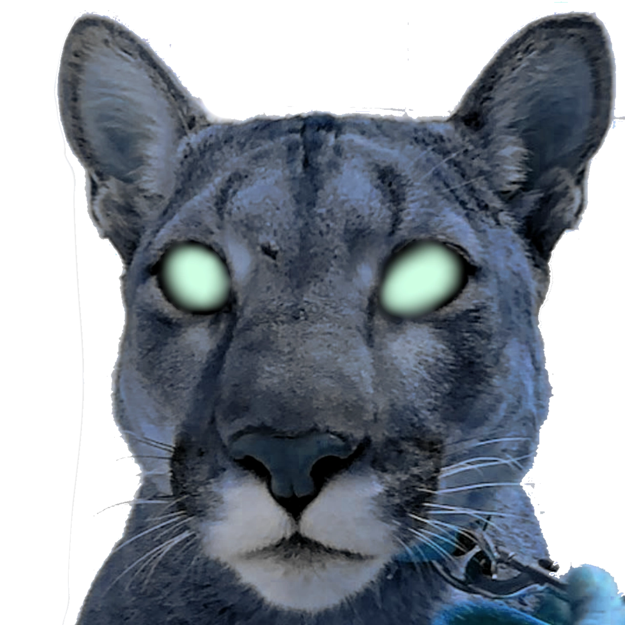 crip plinka | Fandom