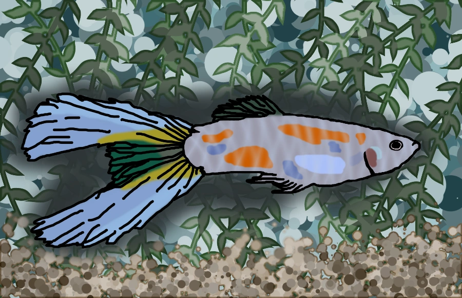 I drew my therapy fish | Fandom