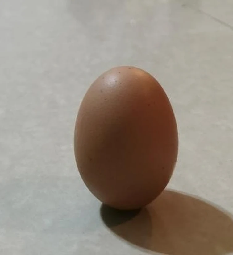 Happy Spring Day people! | Fandom