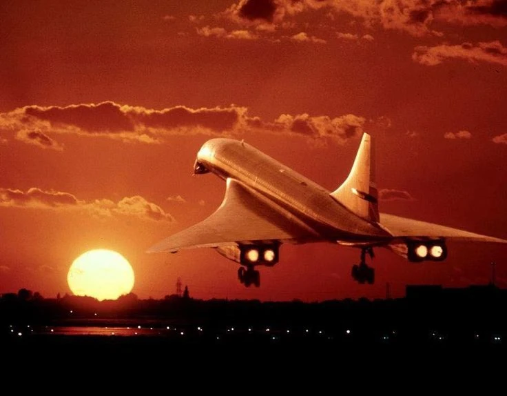 gorebox v15 ideas | Fandom