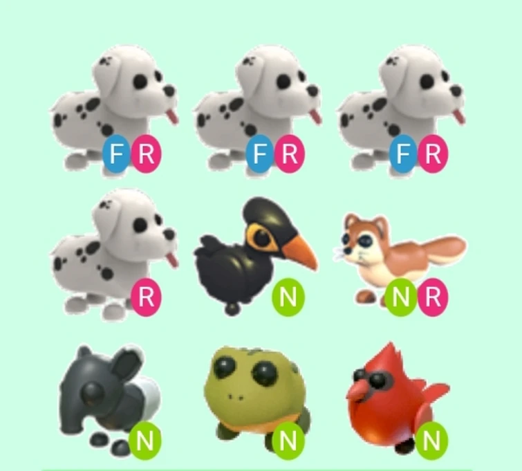 WFL? me: FR Parrot || them: (pic) | Fandom