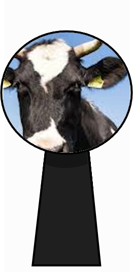 stupid gluttonous cow | Fandom