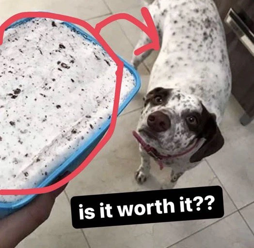 Screw Them Zodiac Signs, Who's Ur Favourite Nickelodeon Character | Fandom