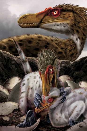 WDYLM: Random Prehistoric Creatures A-Z #13 | Fandom