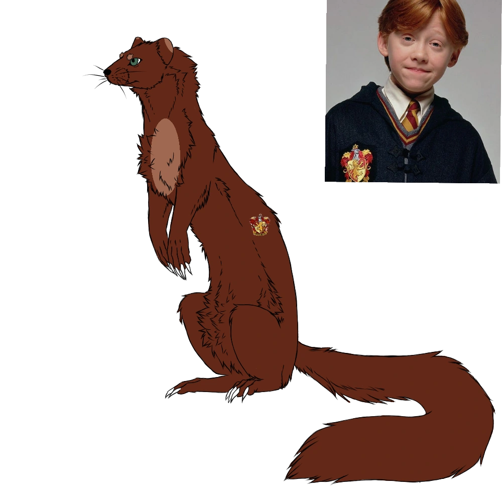 Ron Weasley? No. | Fandom