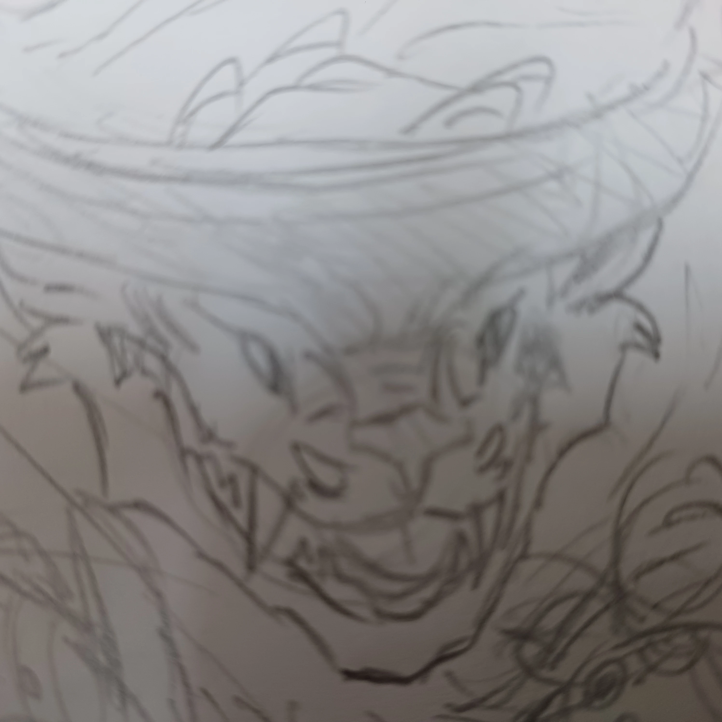 Cat Cat Shark Shark Big Cat Shark | Fandom