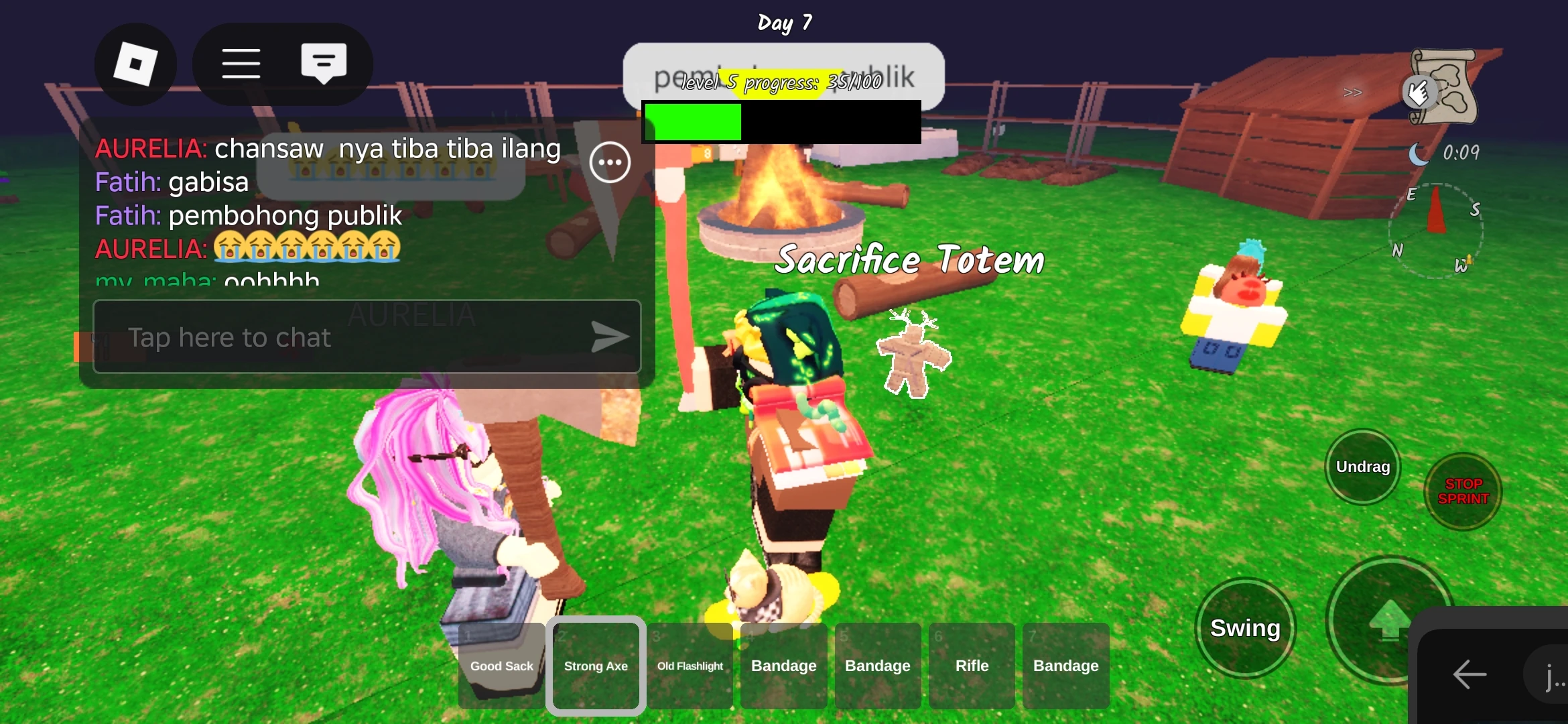 What is a sacrifice totem | Fandom