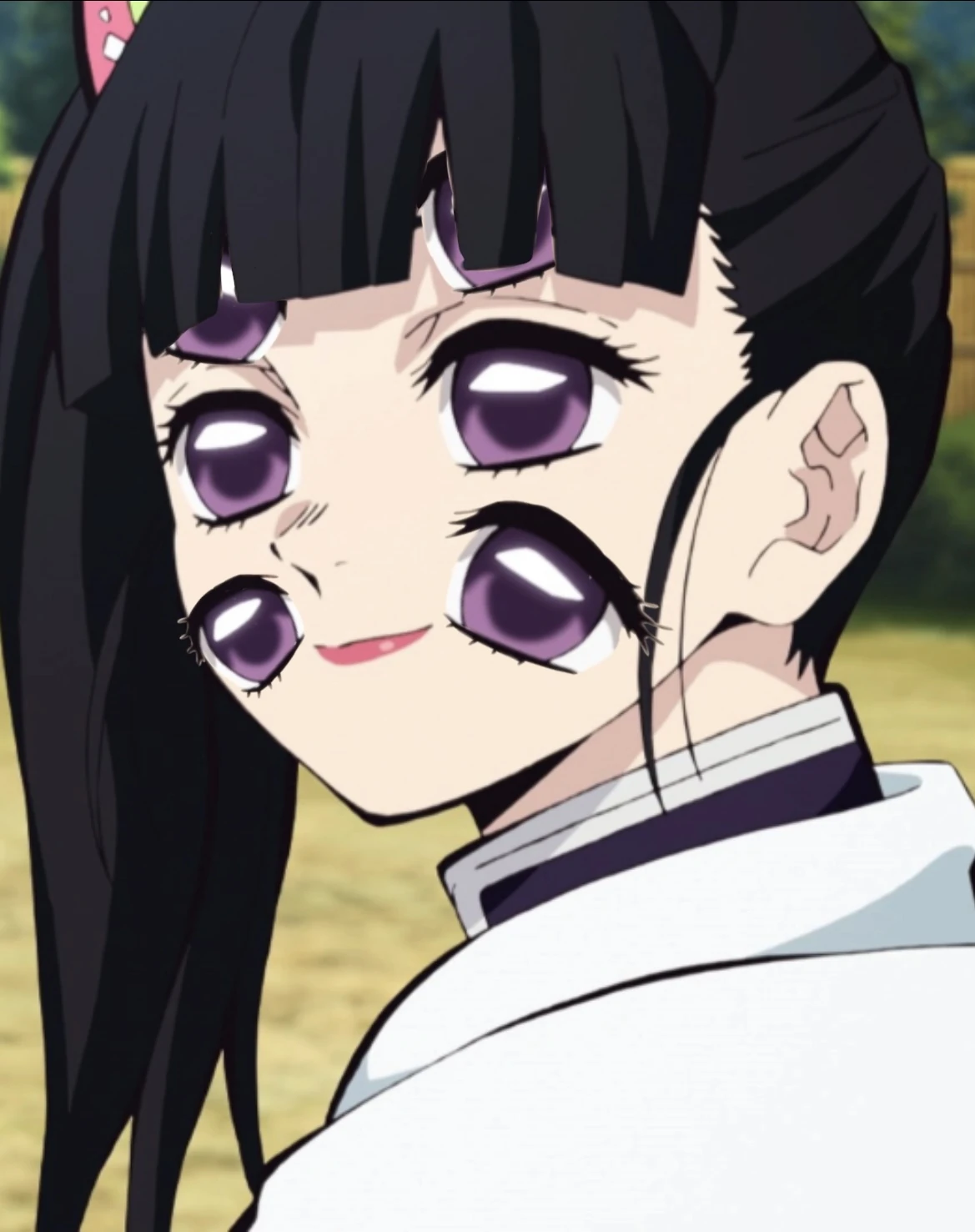 Part 5 of what if KnY characters had 6 eyes like Kokushibo! | Fandom