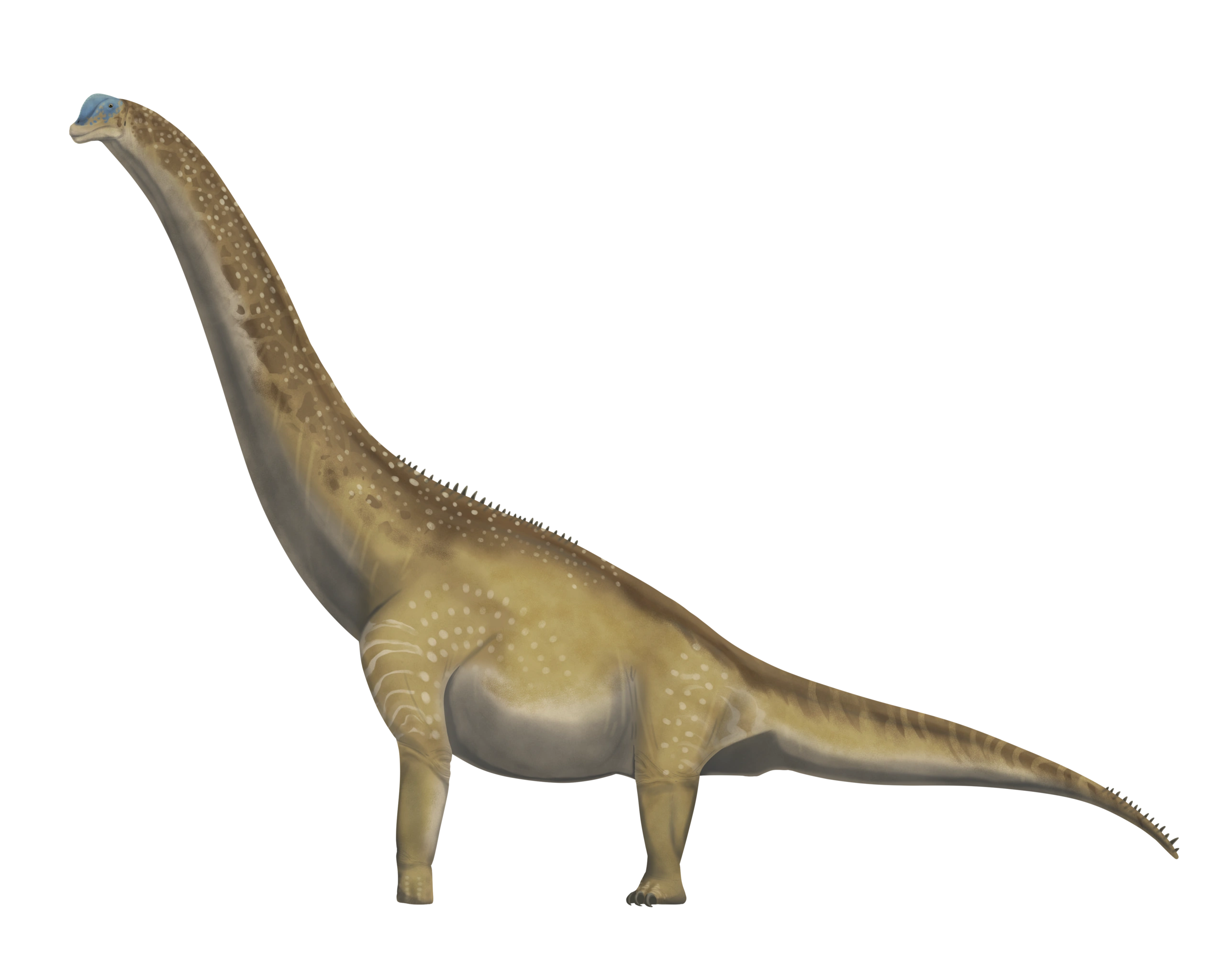 A Day in the Life of Brachiosaurus | Fandom