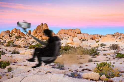 alr good night broskis, if you're still up FUCKING GO TO BED | Fandom