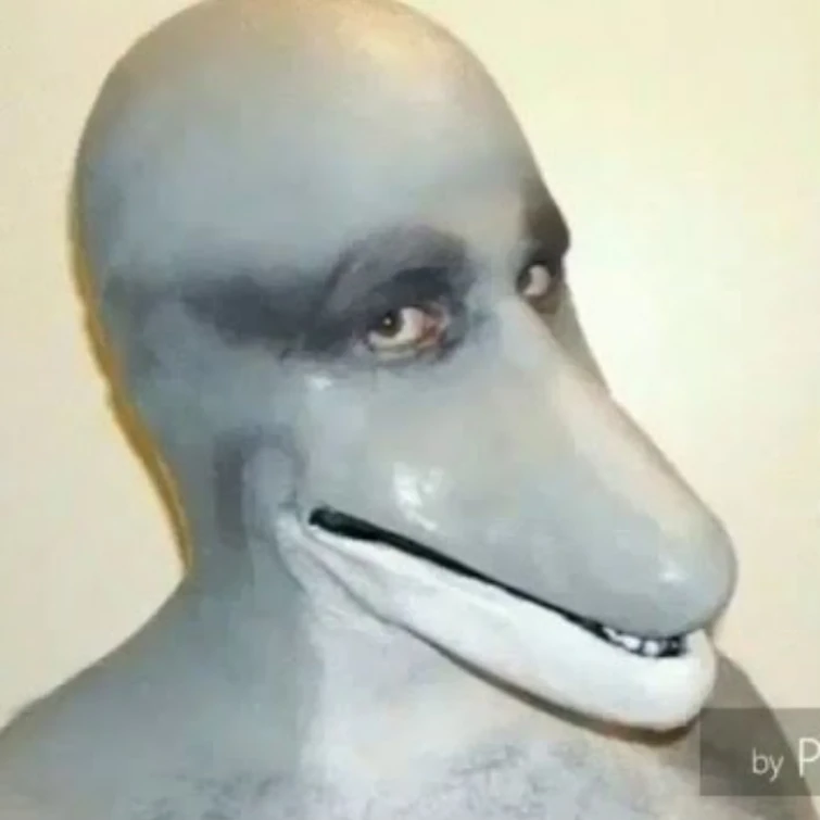 Face reveal | Fandom